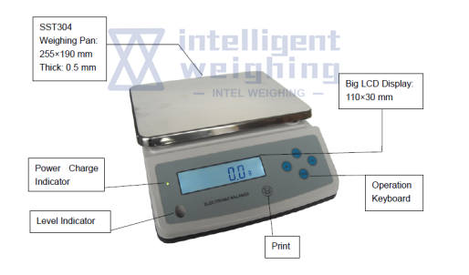double display electronic balance 15KG/30KG