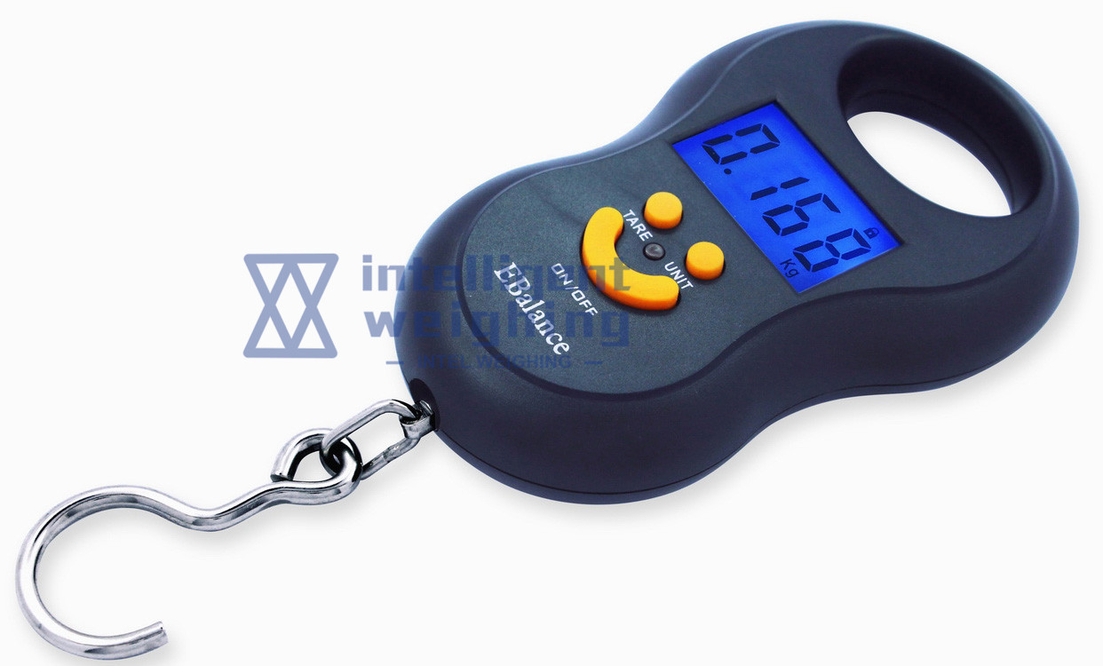 Electronic small home scale